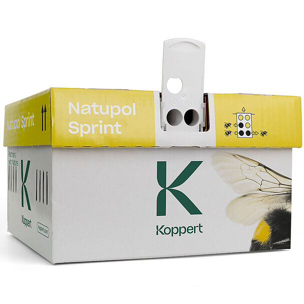 Natupol Sprint | Προϊόντα Koppert
